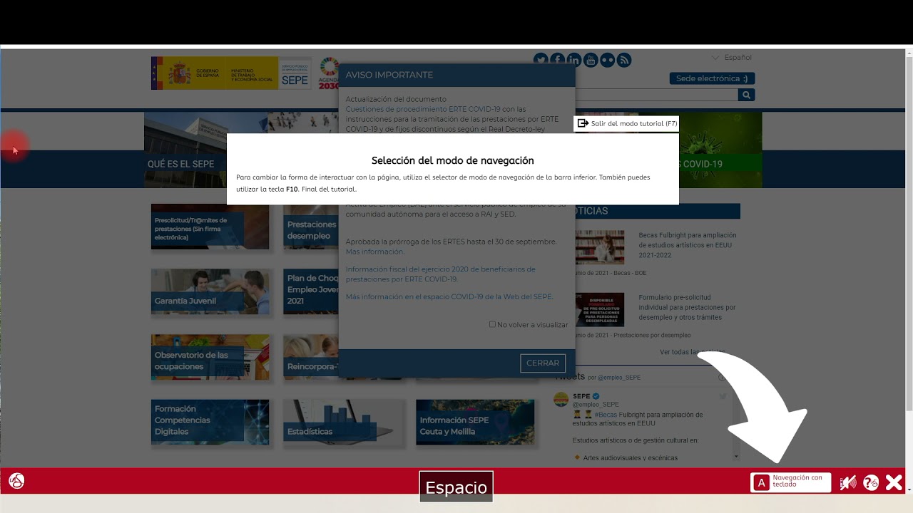 Videotutorial de accesibilidad web con inSuit